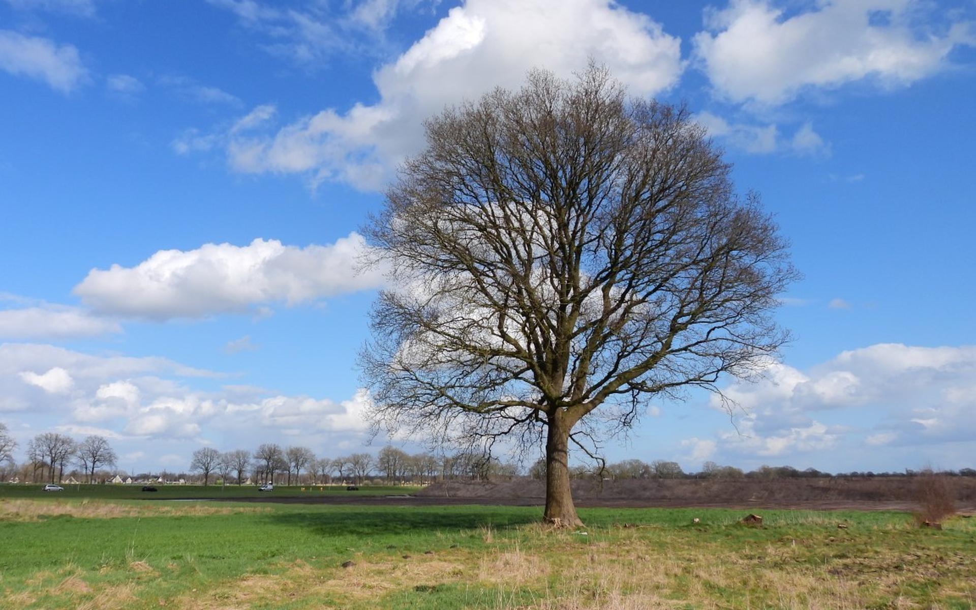 Groenlinks Hoogeveen start petitie voor behoud van de monumentale ...