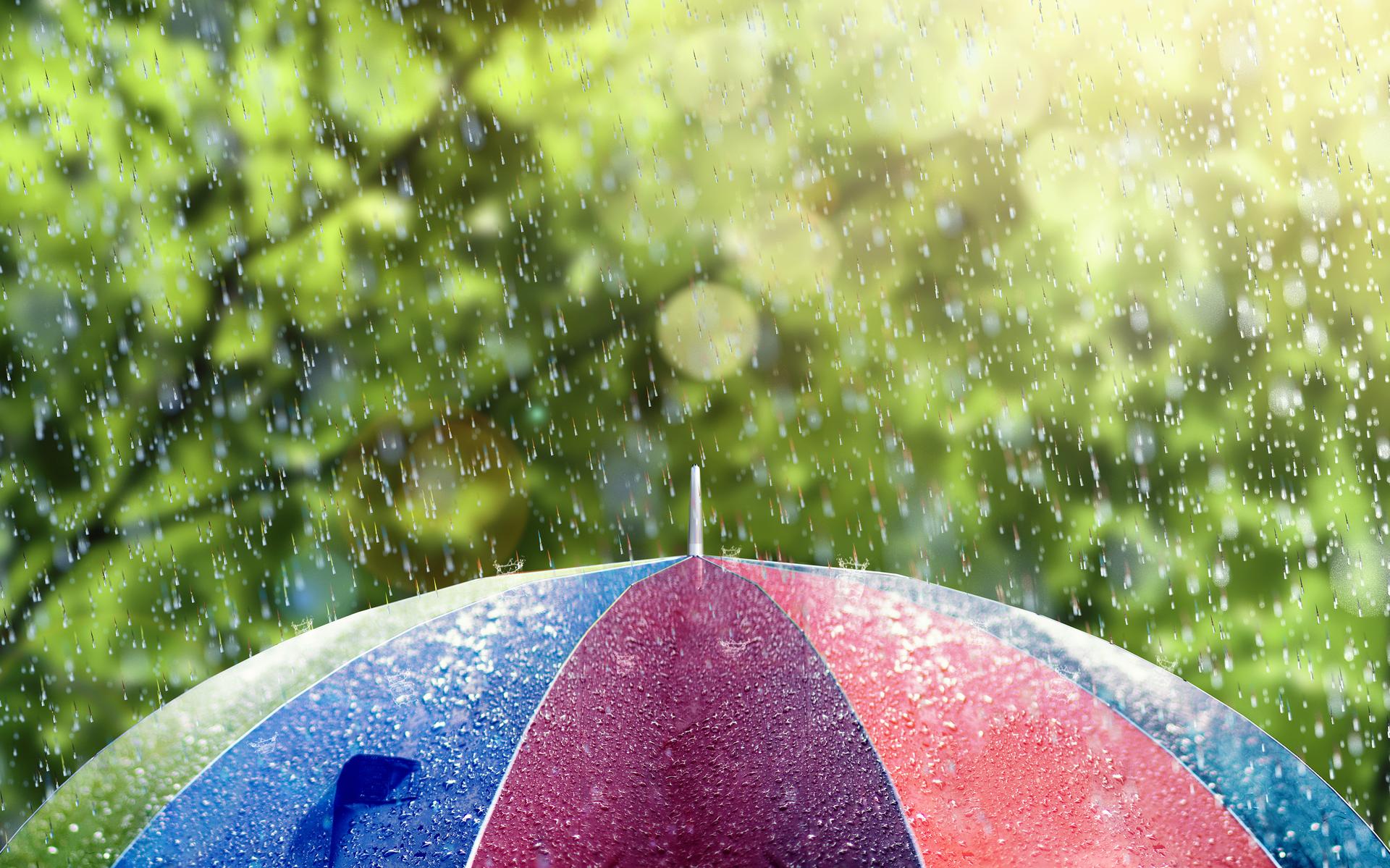 Klaar met het druilerige weer? Het weekend wordt warm, maar ook heel ...