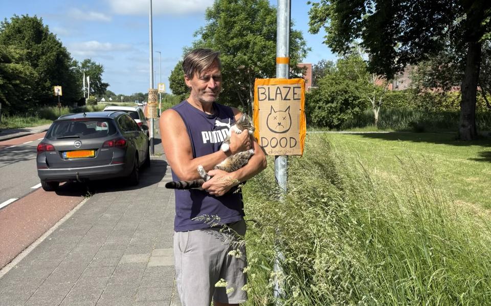 Martin (57) telt 14 dode katten door racende auto’s op Leegeweg in ...