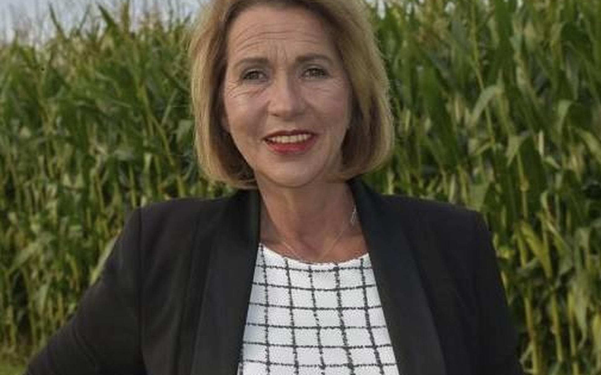 Gemeentebelangen Westerwolde: Meer licht langs duistere weg - Dagblad ...