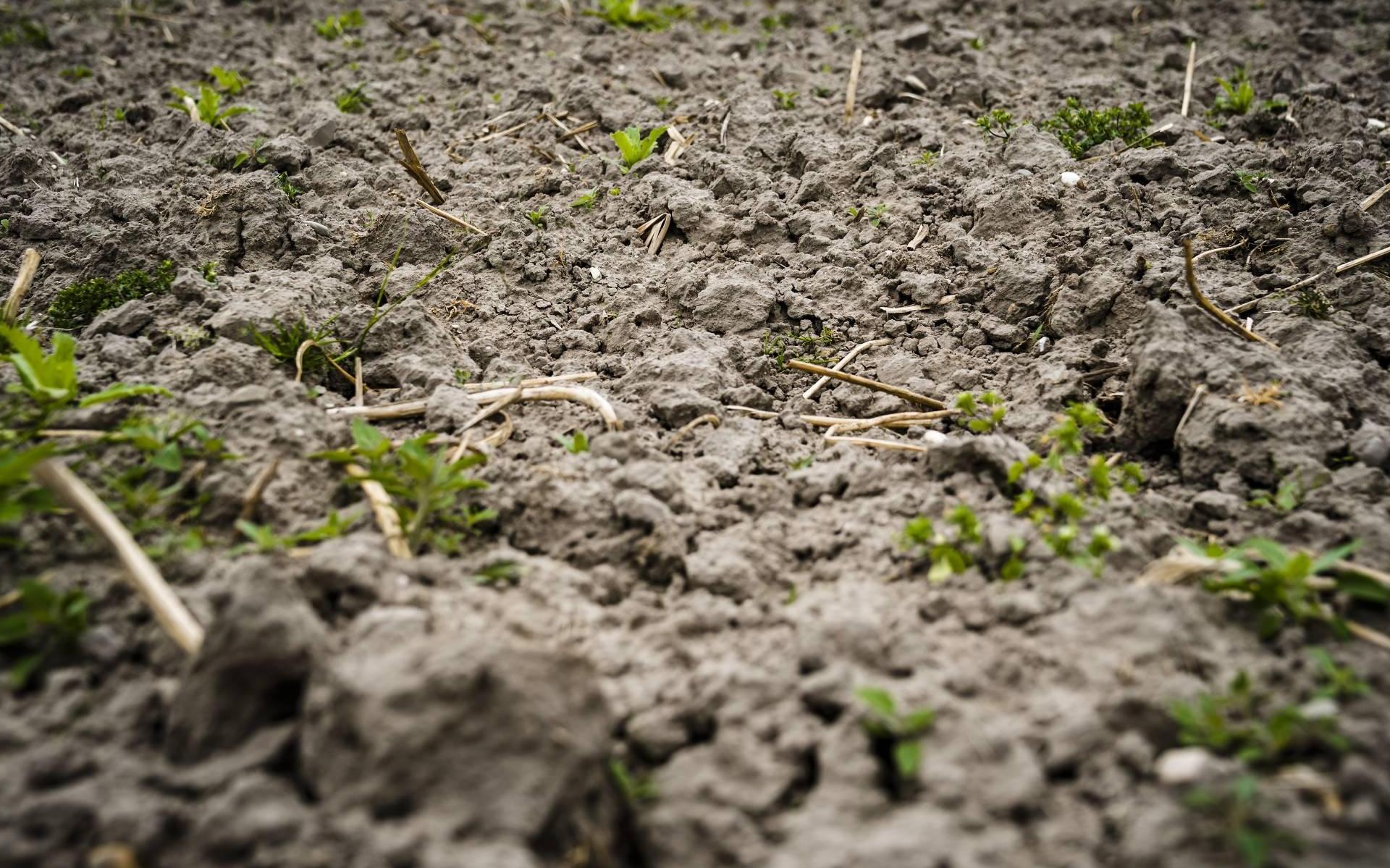Neerslagtekort hoger dan ooit in deze eeuw - Dagblad van het Noorden