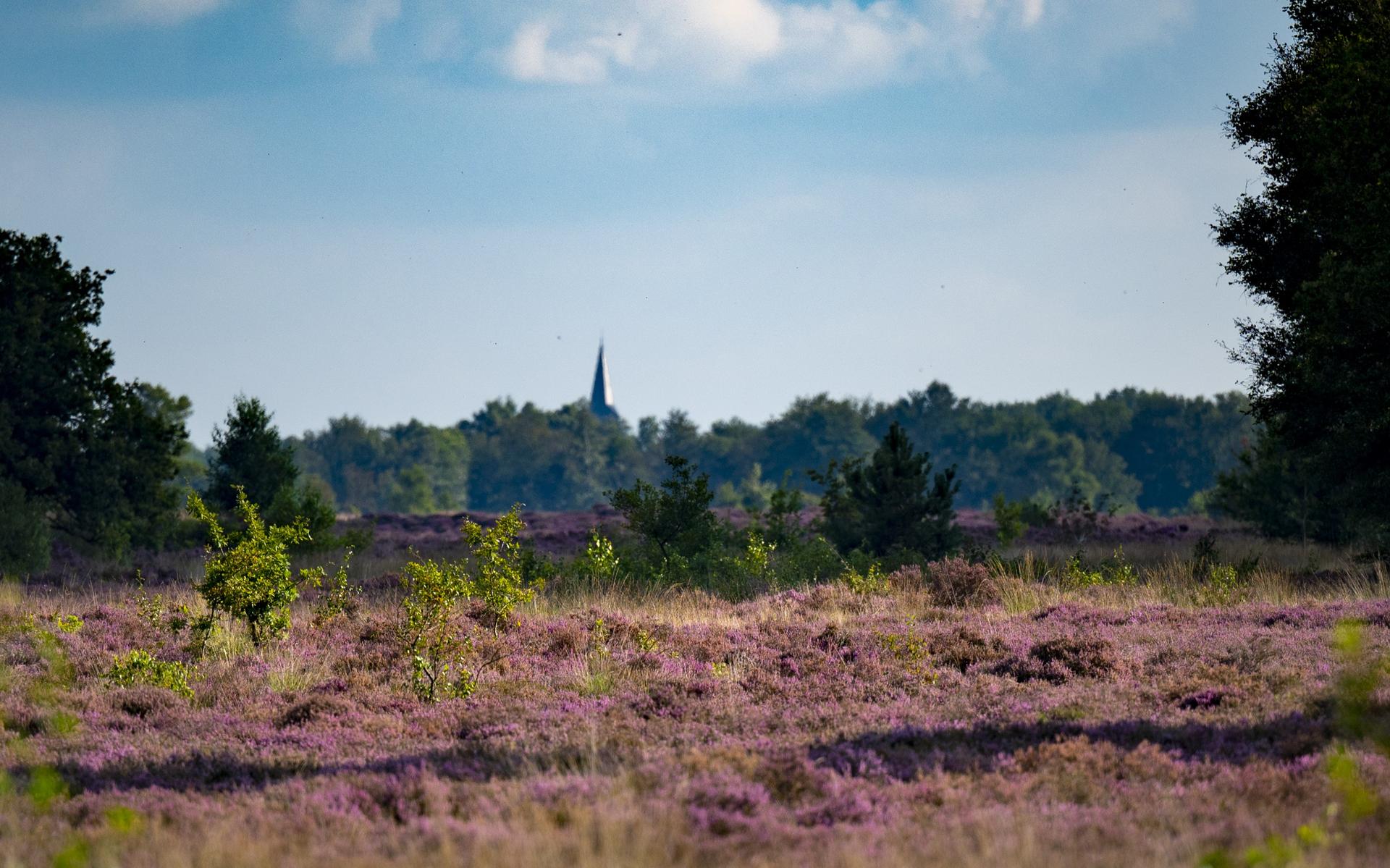 Drenthe moet het niet meer pikken. Het rijk legt de lat voor ...
