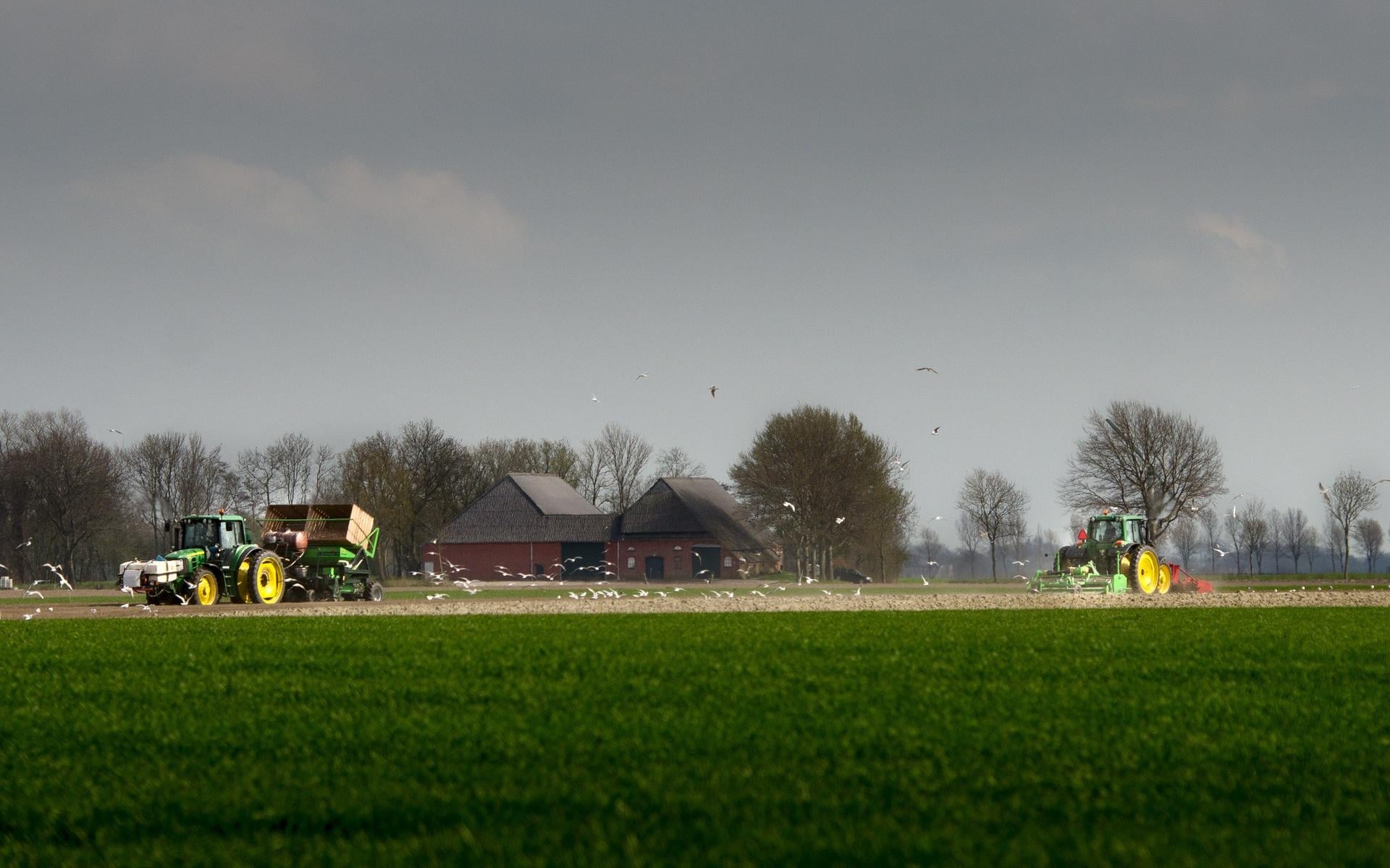 Groningse boeren balen enorm van mestuitspraak Haagse rechter - Dagblad ...
