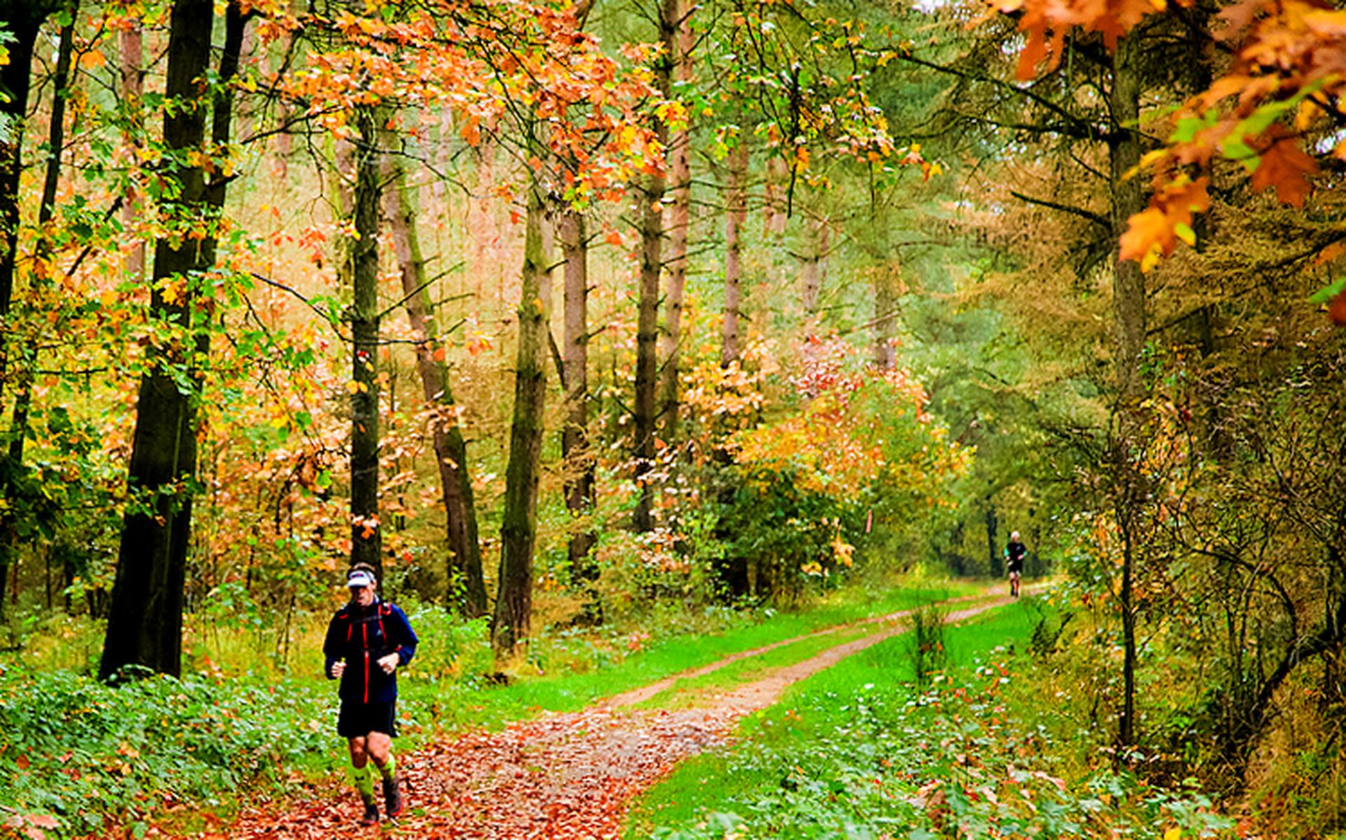 100 kilometer lopen tijdens NK trailrunning door de Drentse natuur. Het ...