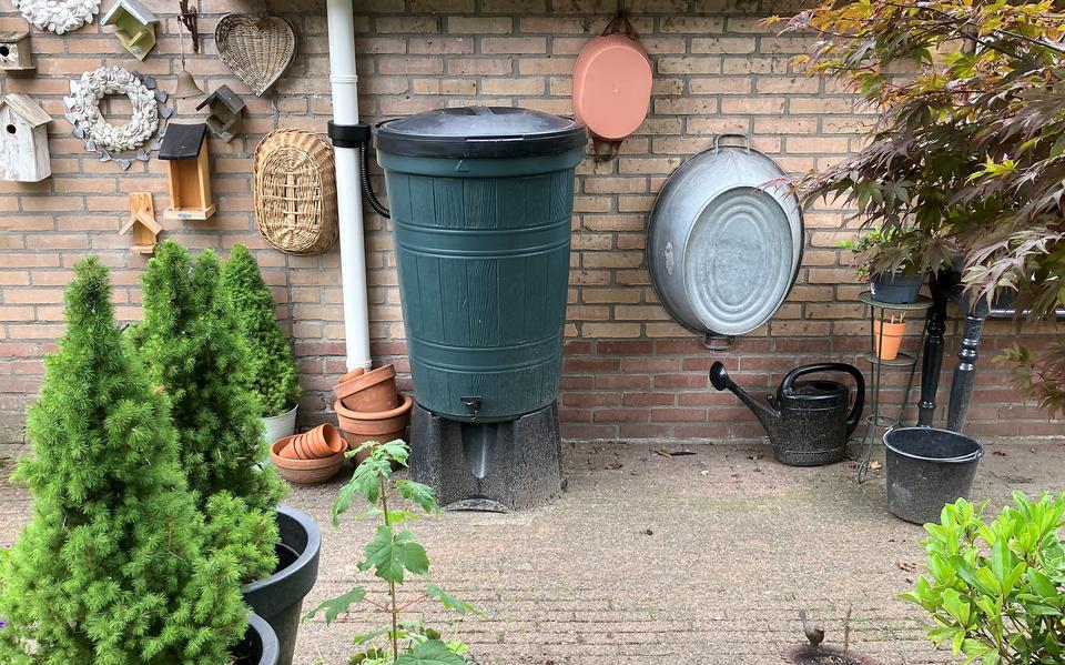 Elke druppel telt: de gemeente moet gratis een regenton plaatsen bij ...