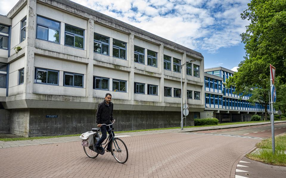 Zuiderpark baalt na brief gemeente: ‘Flauw dat ze suggereren dat wíj ...