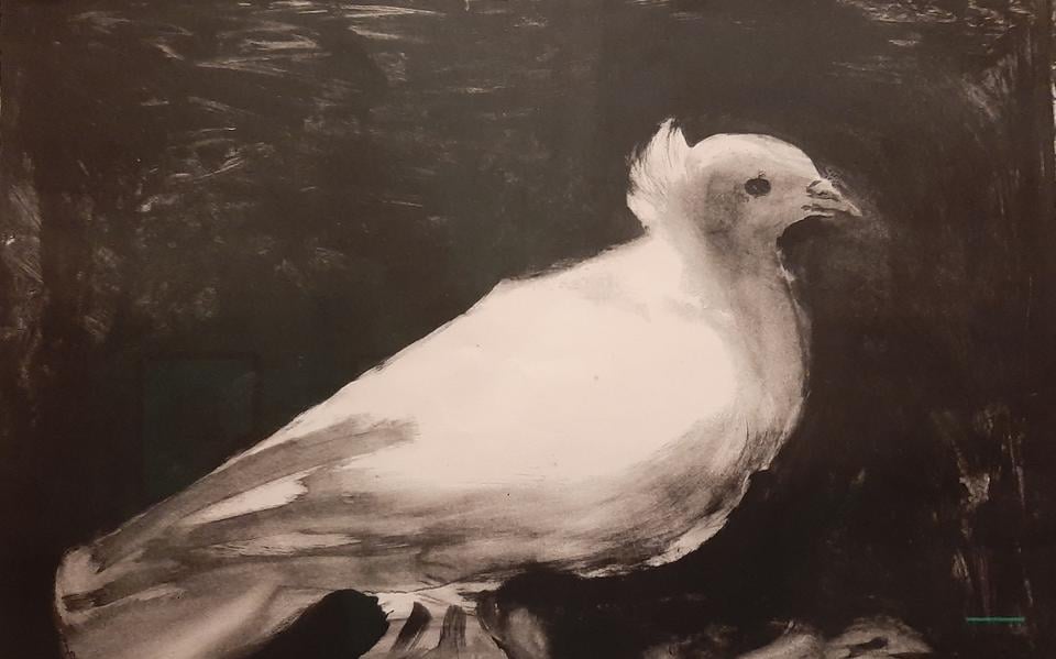 Ook geketende vogels zijn symbool van vrijheid | Kunst kijken met Eric ...