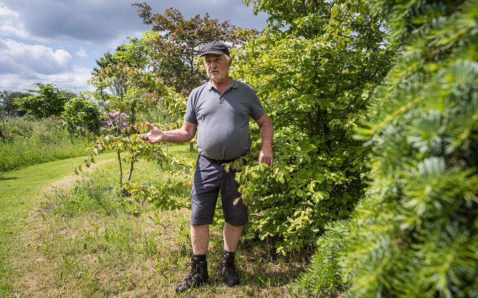 Arboretum Arcadië: Droomtuin en Botanische Pracht - Dagblad van het Noorden
