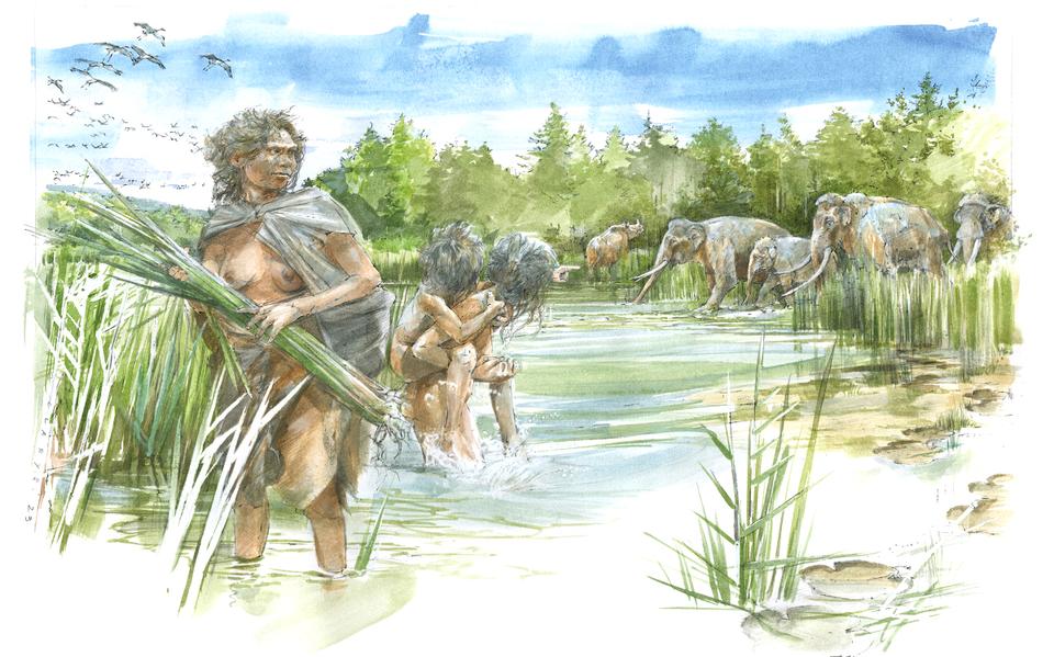 Oudste menselijke voetafdrukken van de Homo heidelbergensis ontdekt in ... Oudste menselijke voetafdrukken van de Homo heidelbergensis ontdekt in ...
