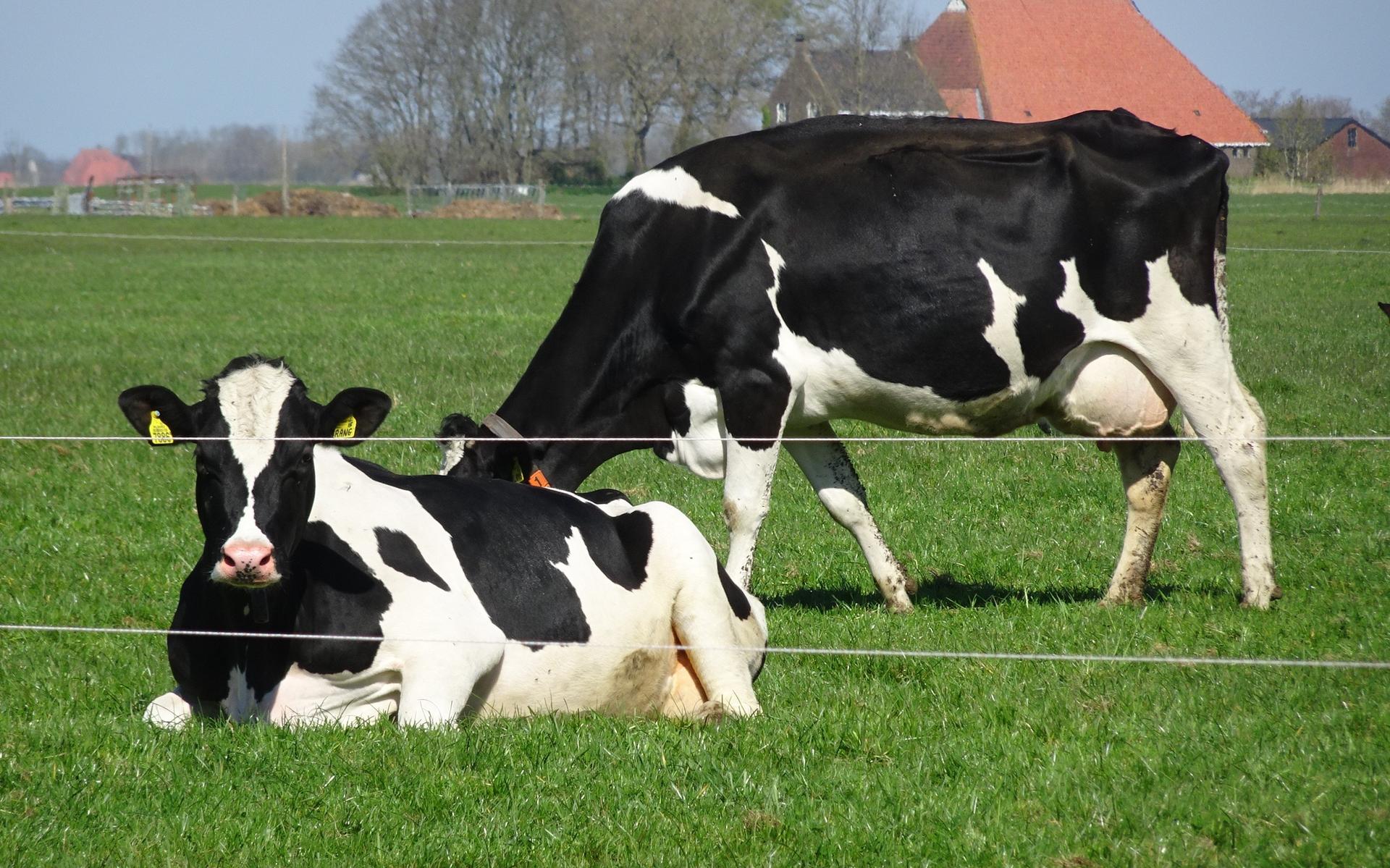 Waarom wordt een piekbelaster uitgedrukt in mol en niet in kilo's? Deze ...