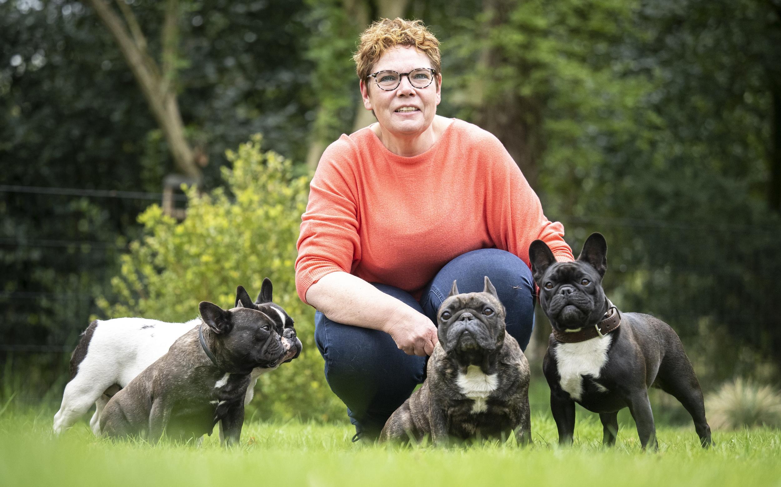 Is er toekomst voor de Franse bulldog? 'Broodfokkers lachen zich rot ...