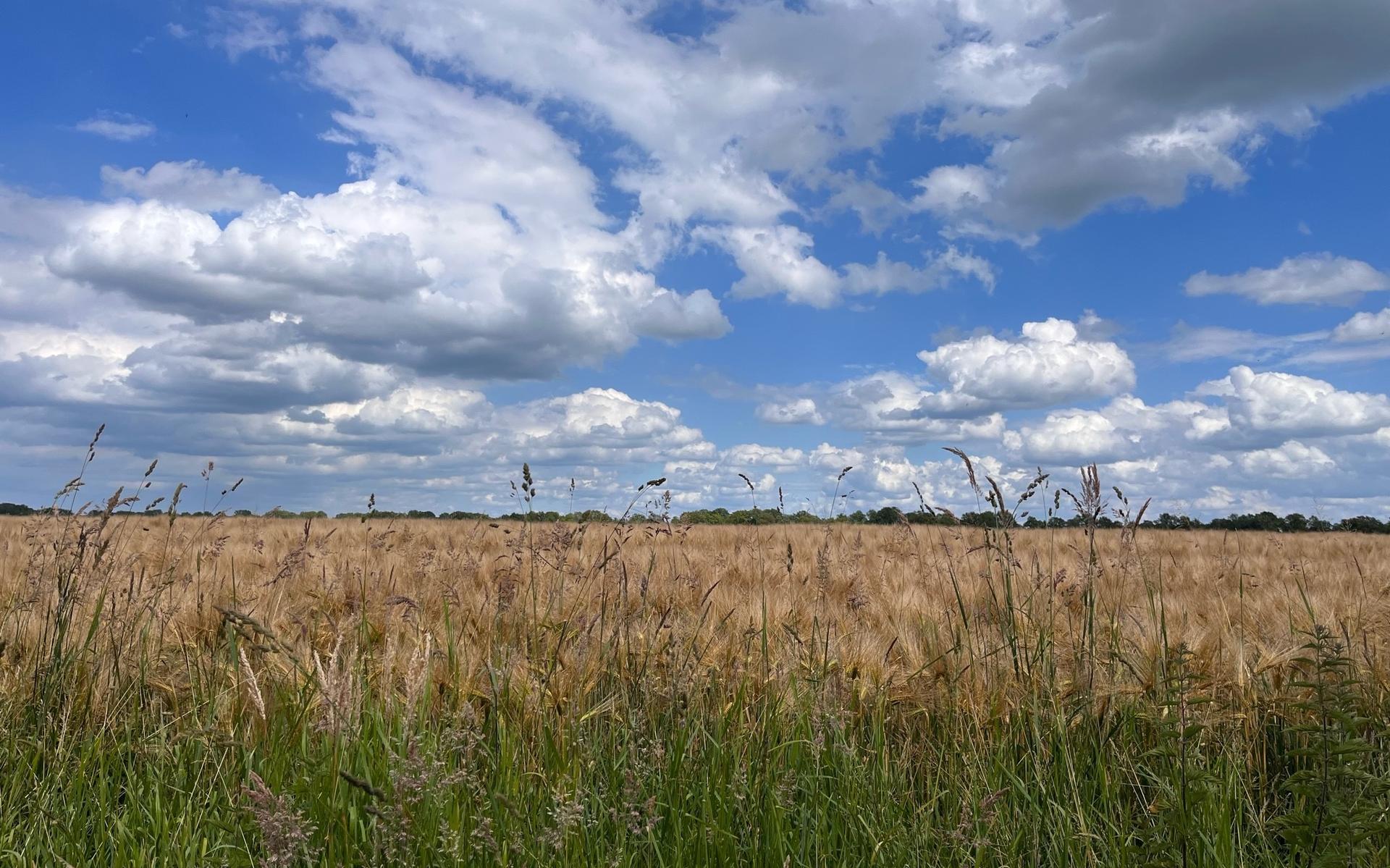 Mooiste Kiek van de Week | 'De mooie wolken, de prachtige kleuren van ...