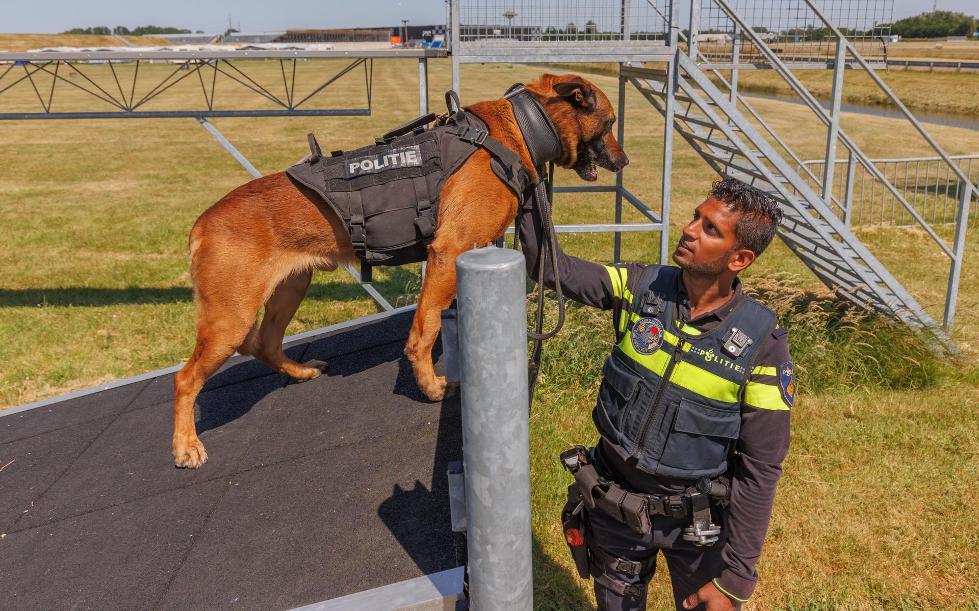 Politie wil een sociale surveillancehond. Dier moet voortaan aan de ...
