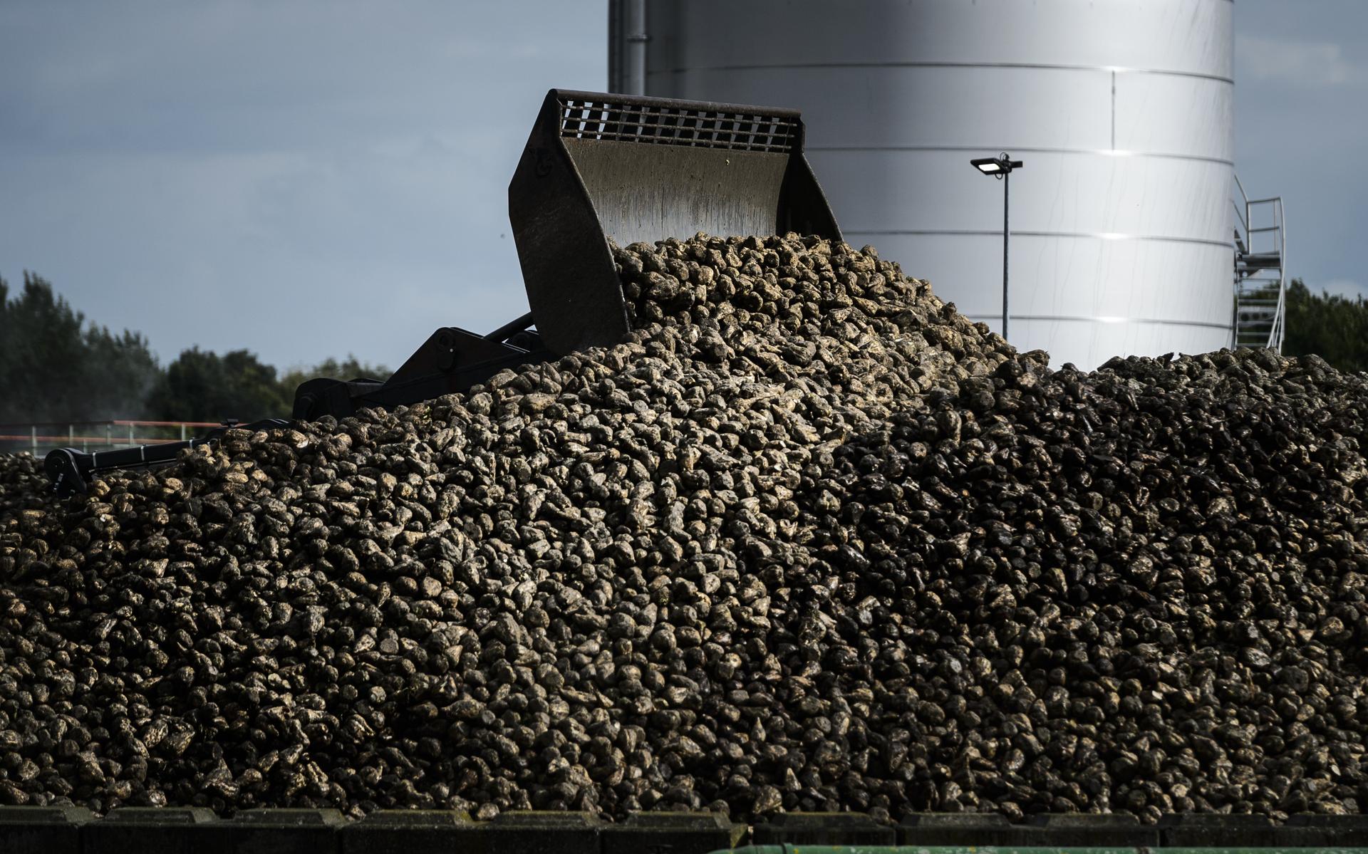 Uitdagingen in Groningen Open: Cosun Beet Company wil nog meer met de ...