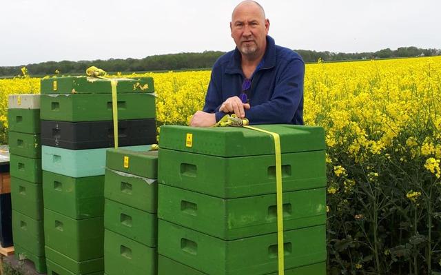 Imker Albert (64) uit Nieuw-Amsterdam beheert 150 bijenvolken. ‘Bijen ...