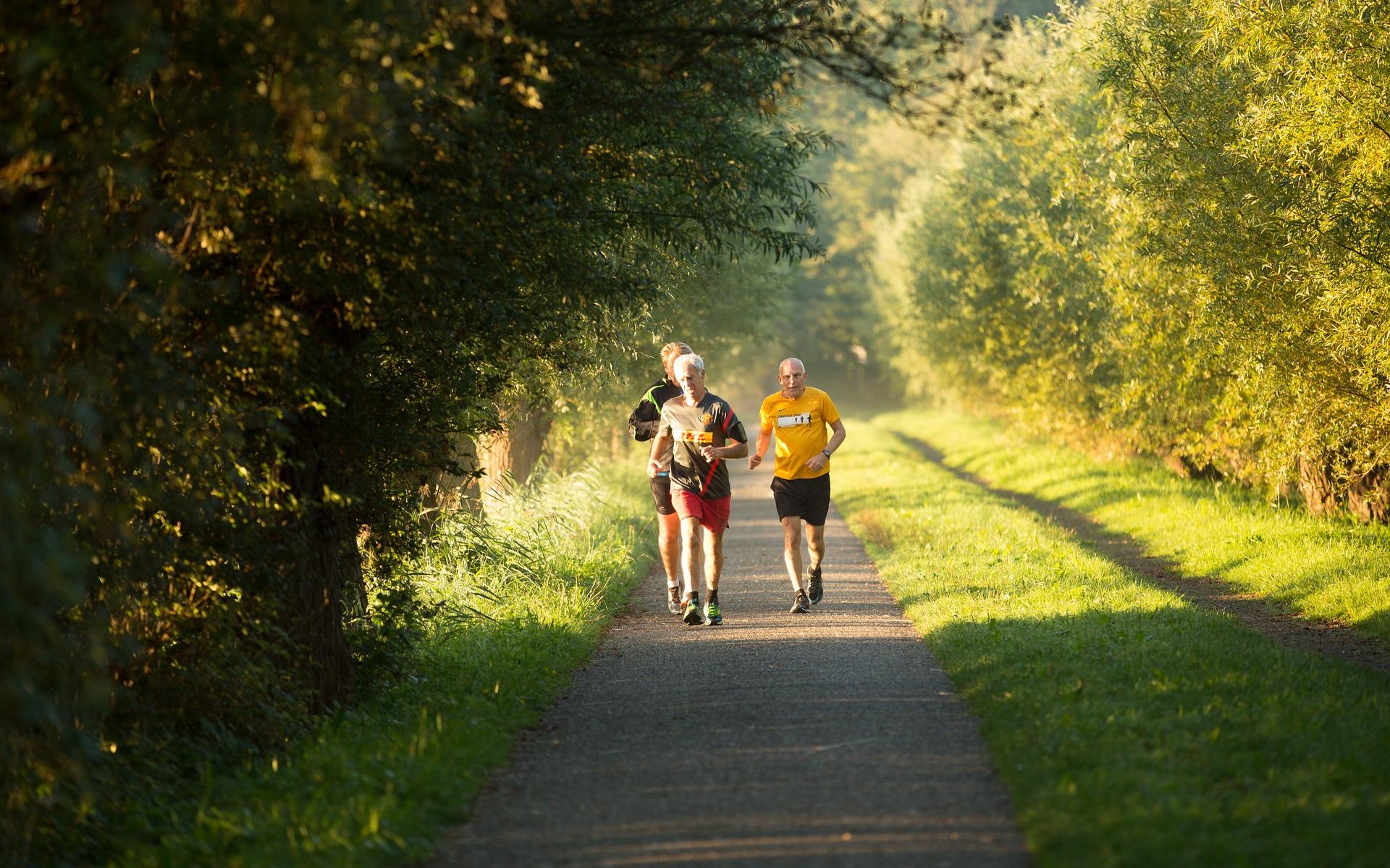 Kyllotsbos in Smilde is toneel voor een cross - Dagblad van het Noorden