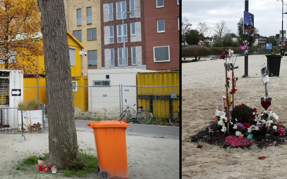 Gemeente Groningen kapt dode boom op Stadsstrand, maar behoudt monument ... Gemeente Groningen kapt dode boom op Stadsstrand, maar behoudt monument ...
