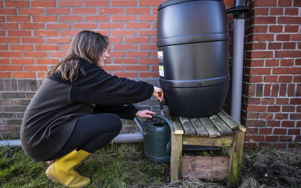 Wat er allemaal fout gaat in de moestuin van beginner Carleen (32 ...