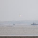 KNRM en Kustwacht redden 32 wadlopers bij Ameland: groep raakt ...