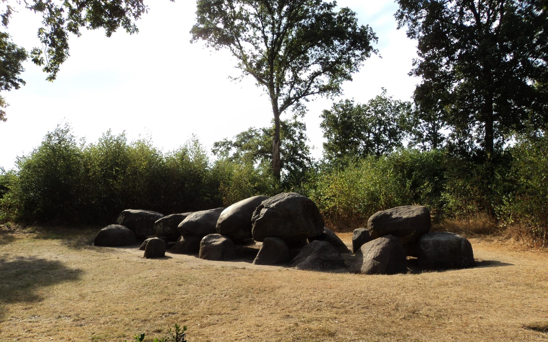 OERwandeling vanuit het OERmuseum - Dagblad van het Noorden